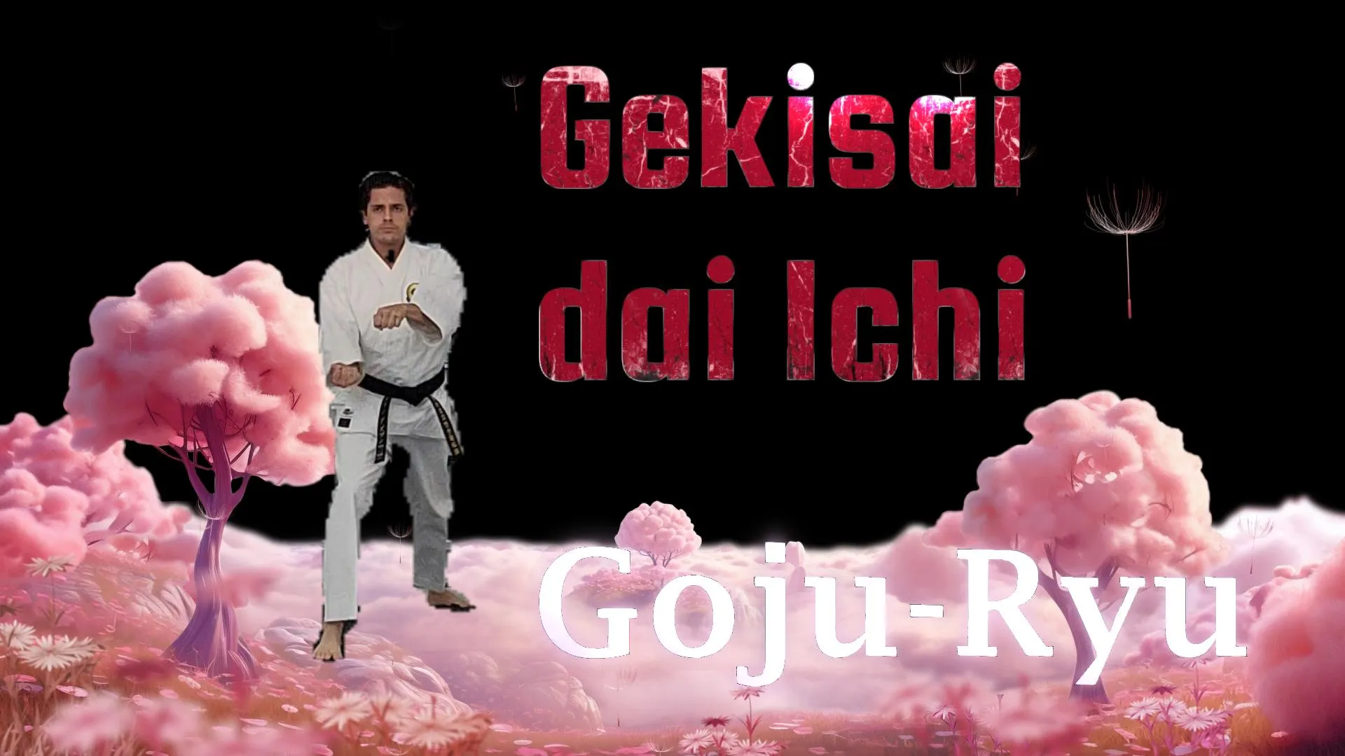 Goju-Ryu Karate-Do Gekisai dai Ichi Challenge