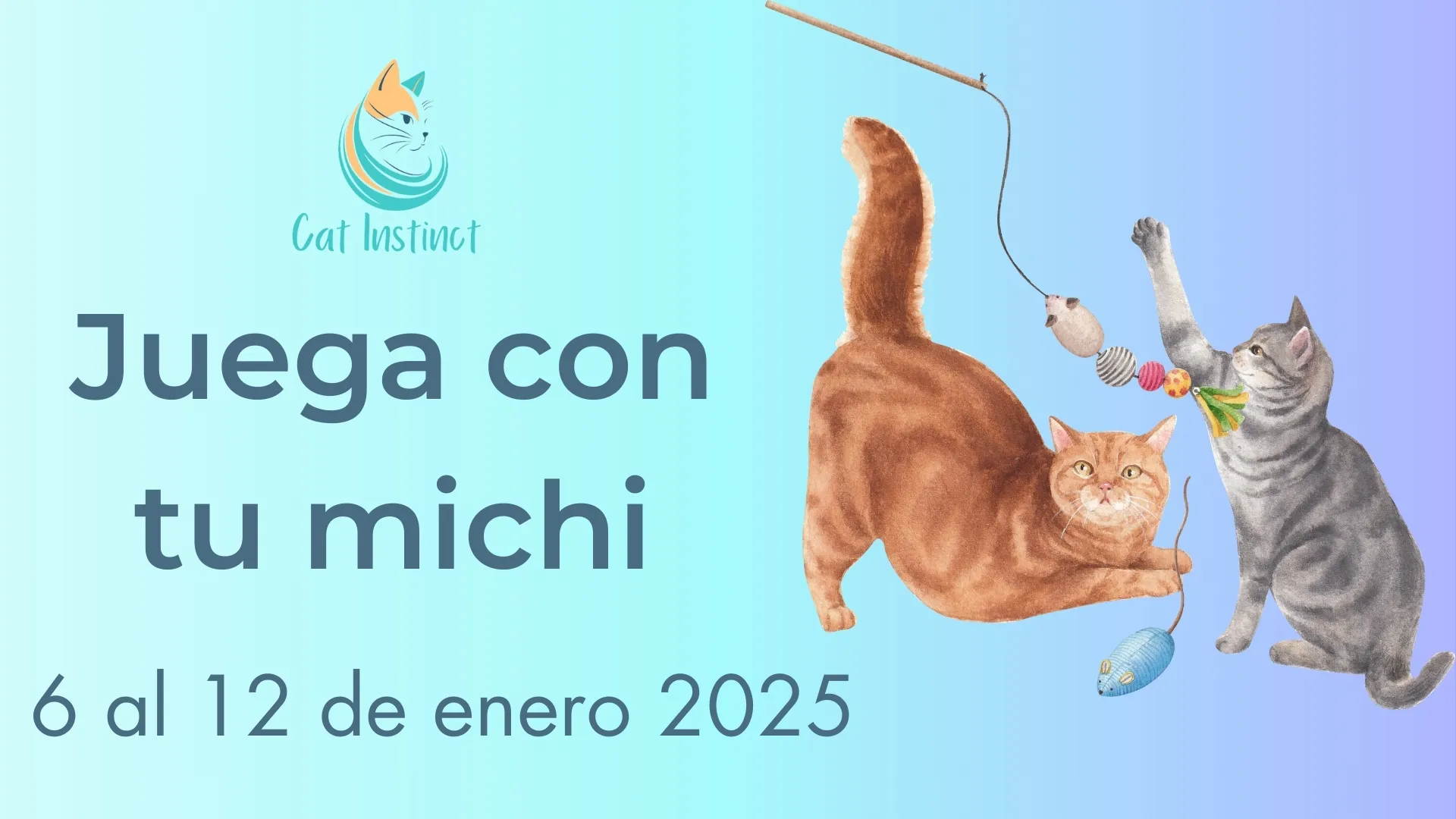 Juega con tu michi